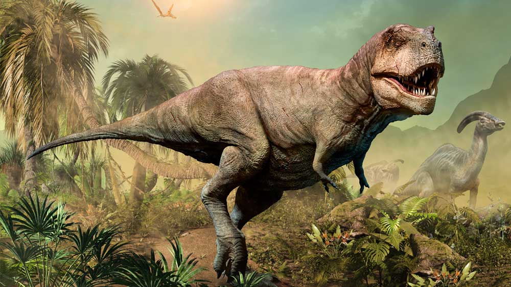 We Still Cant Determine The Sex Of Dinosaurs The Institute For Creation Research